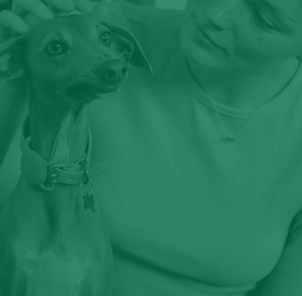 Waggel | Lifetime Pet Insurance, Simplified