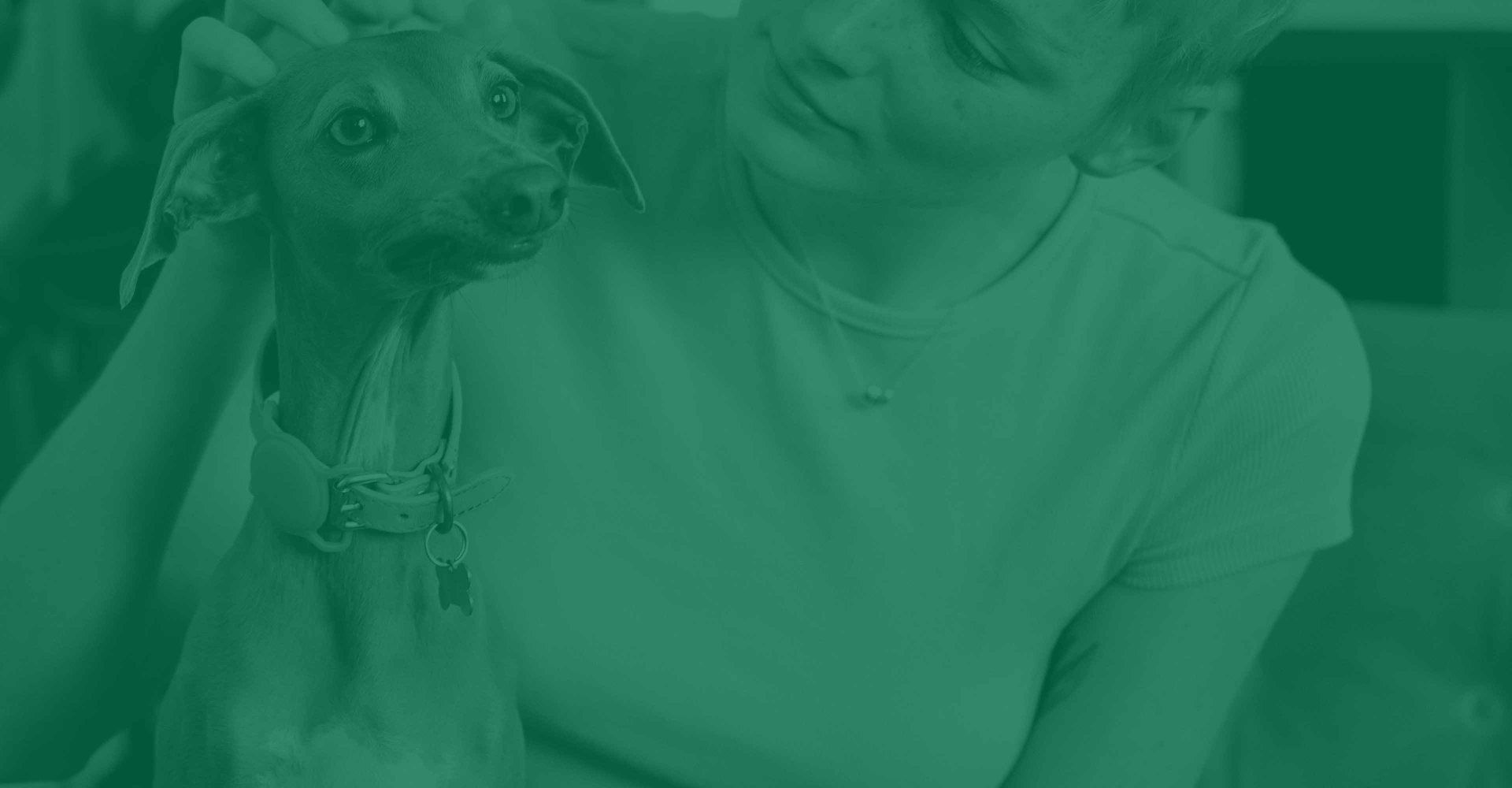 Waggel | Lifetime Pet Insurance, Simplified